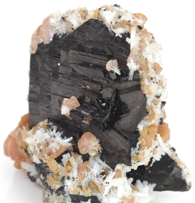 General Stock Page 7